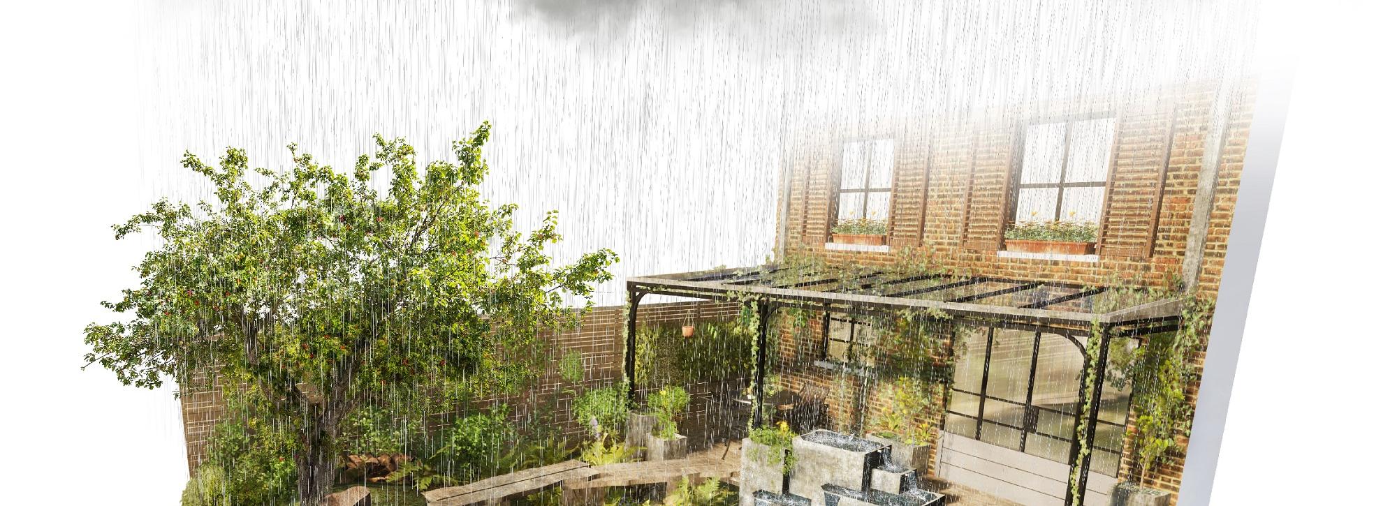 Chelsea’s Flood Resilient Garden to take root at HR Wallingford | HR ...
